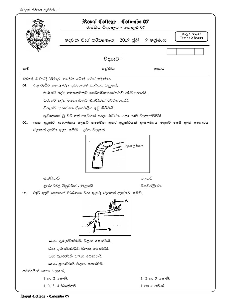 Grade 9 Science 2nd Term Test Paper | PDF