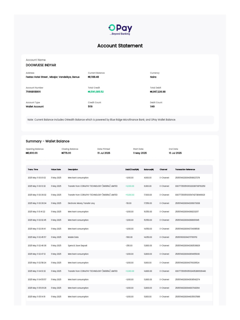 Wallet Account Statement Summary | PDF | Credit Card | Debit Card