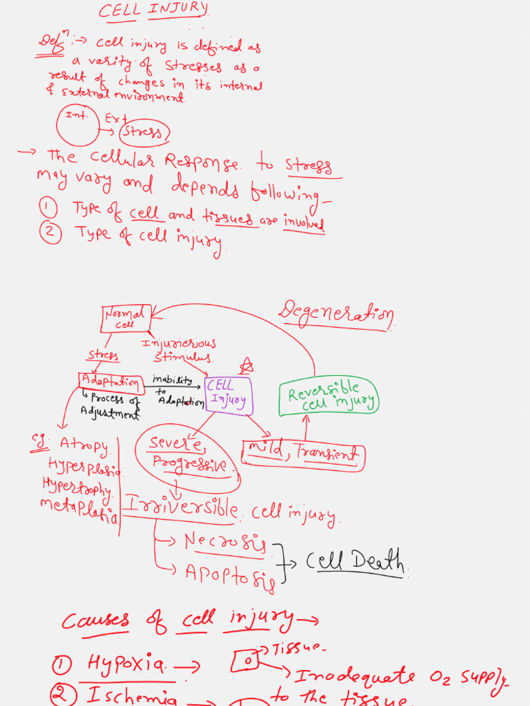 PDF Document 2 | PDF