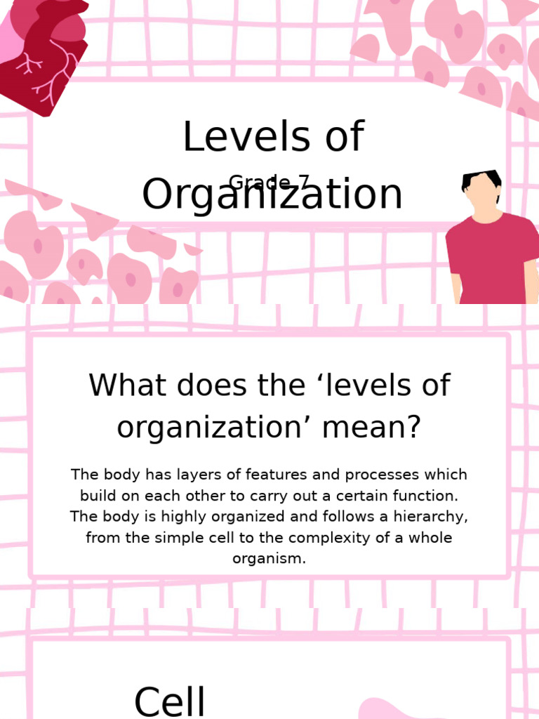 Levels of Biological Organization | PDF