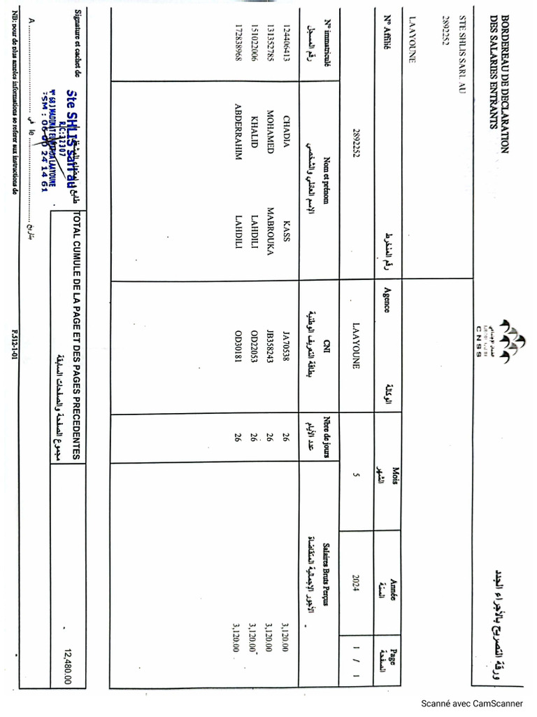 CNSS Des Agent | PDF