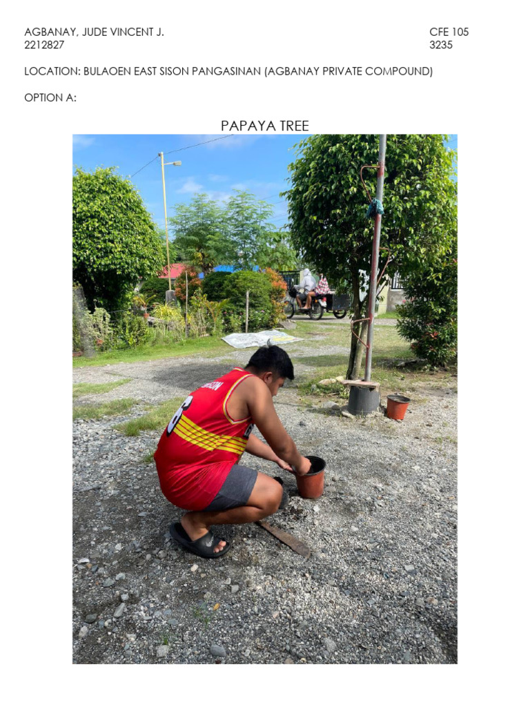 Agbanay, Jude Vincent - Semester-End Requirement | PDF