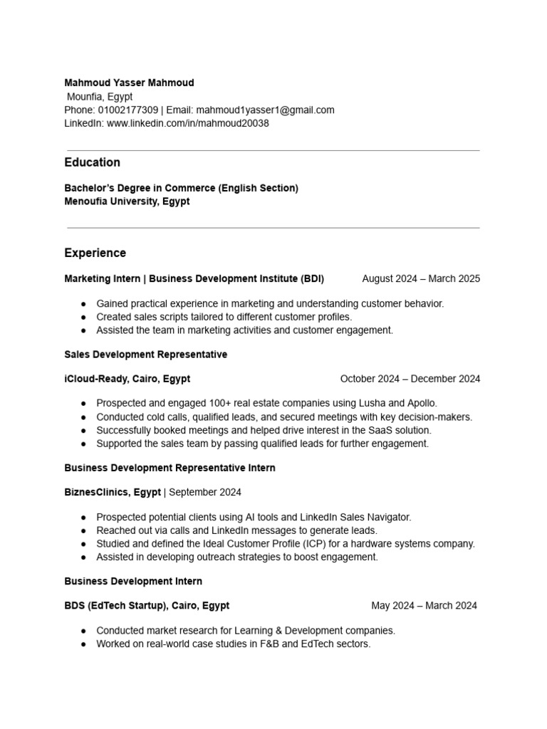 Mahmoud Yasser's Professional Profile | PDF | Marketing | Business ...