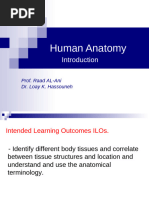 Overview of Splanchnology and Viscera | PDF | Abdomen | Human Digestive ...