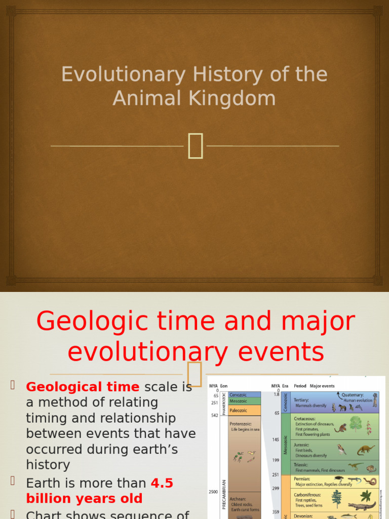 Evolution of Animal Life on Earth | PDF | Geologic Time Scale | Evolution