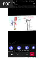 Palpation Techniques for Lower Extremities | PDF | Foot | Knee
