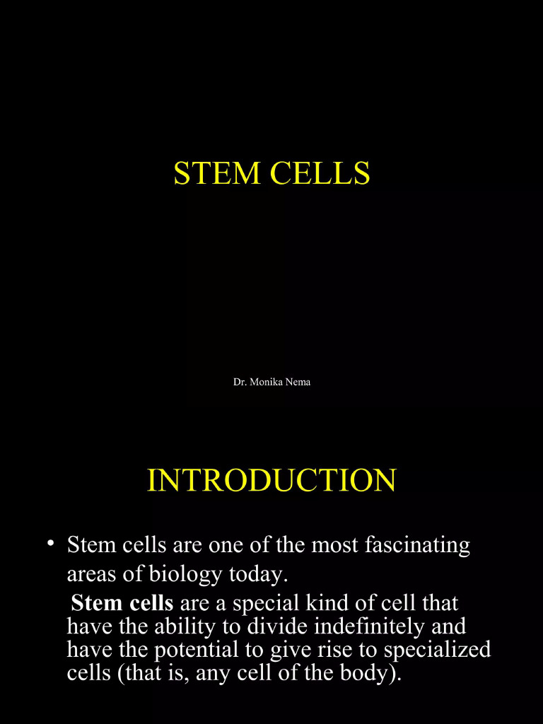 Stem Cell 3 | PDF