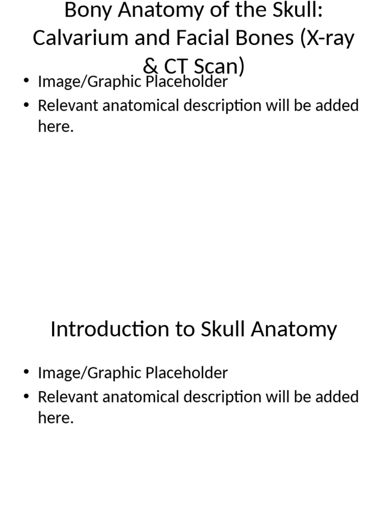Anatomy of the Bony Calvarium | PDF | Ct Scan | Skull