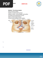 Excretory System of Frog | PDF | Kidney | Urinary System