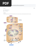 Hetemcit PI | PDF | Management Of Hiv/Aids | Drugs
