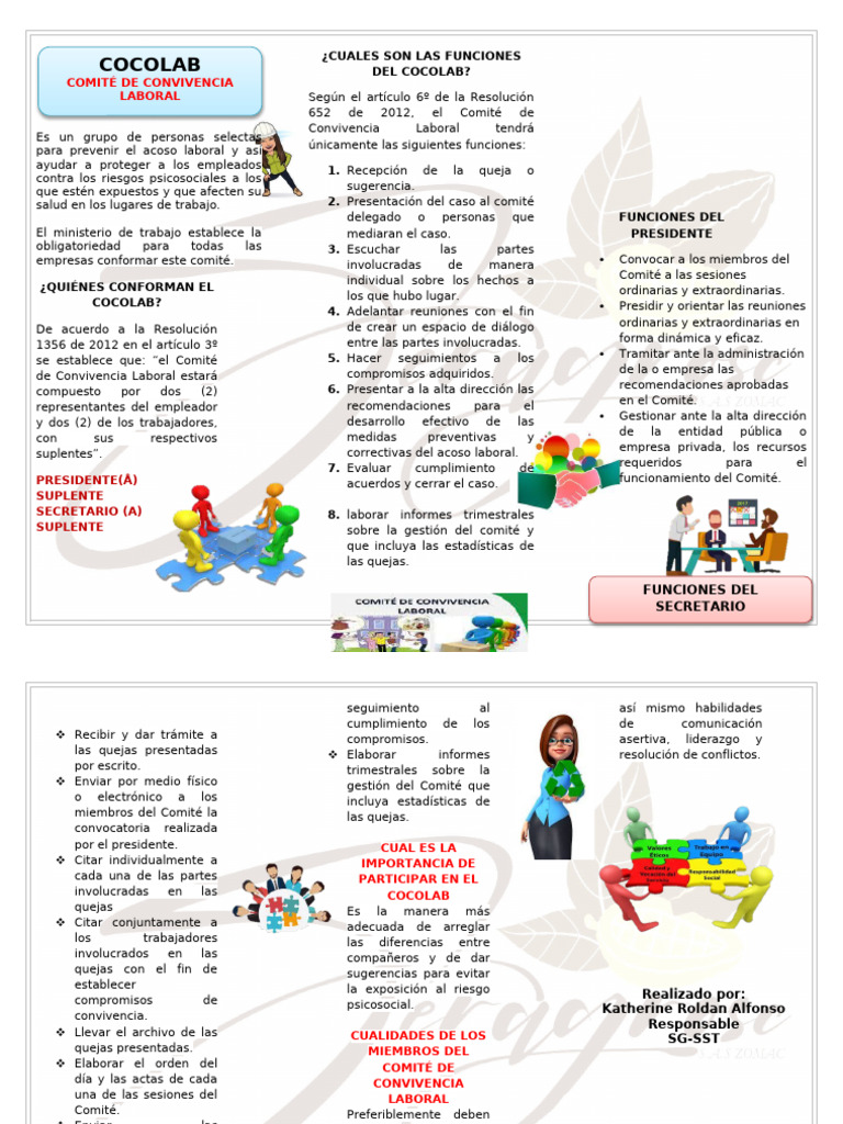 Folleto Cocolab Funciones y Responsabilidades | PDF