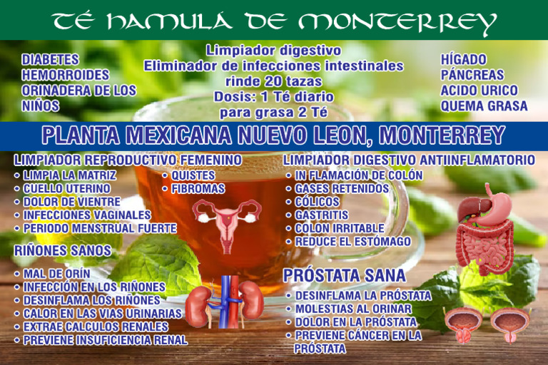 Te Hamula de Monterrey | PDF