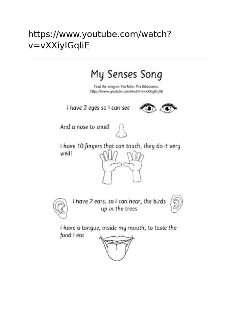 5 Senses Song | PDF