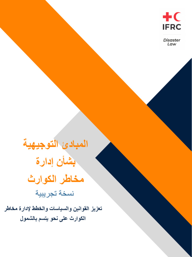 VF-Guidelines On Disaster Risk Governance - Pilot Version For Comments ...