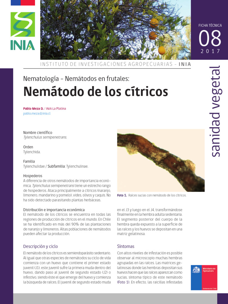 Tylenchulus Semipenetrans | PDF | Agricultura | Nematodo