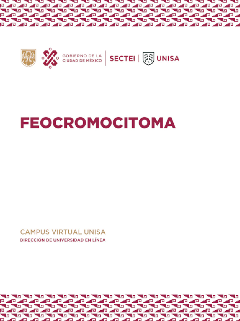 Feocromocitoma | PDF | Medicina | Medicina CLINICA
