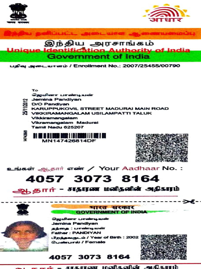 Aadhaar Card Information and Details | PDF