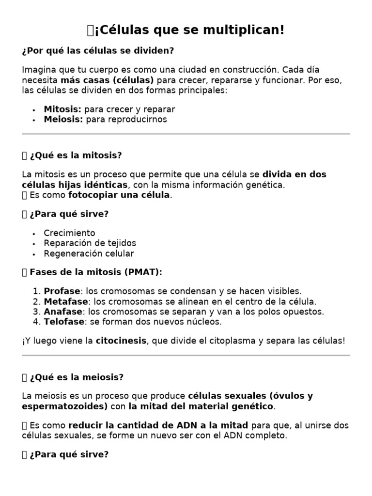 Guia Mitosis Meiosis | PDF | Mitosis | Mitosis