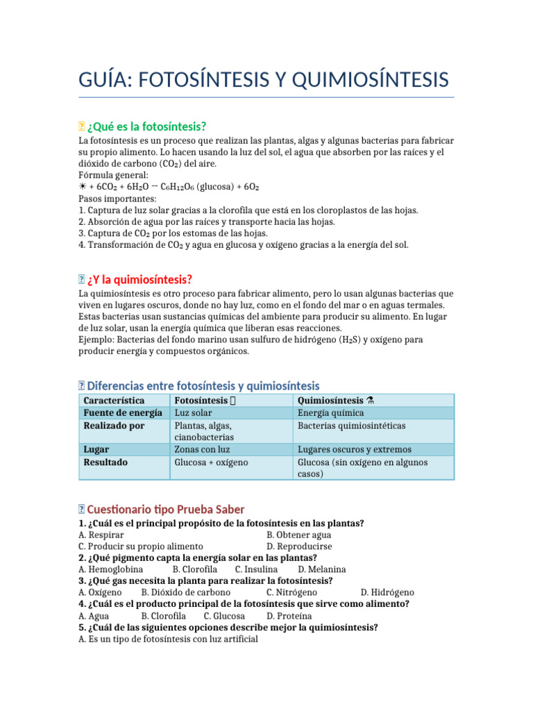 Guía Fotosíntesis y Quimiosíntesis 6° | PDF | Fotosíntesis | Plantas