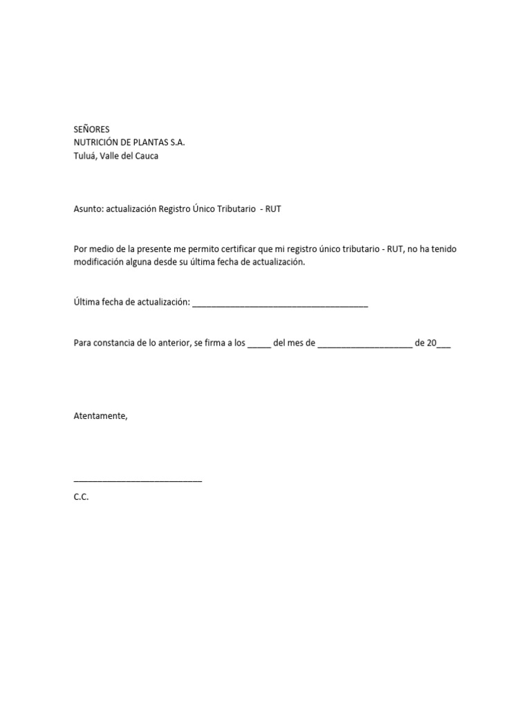 Formato Actualización RUT PN | PDF