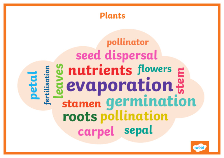 Plants Science Vocabulary Cloud | PDF
