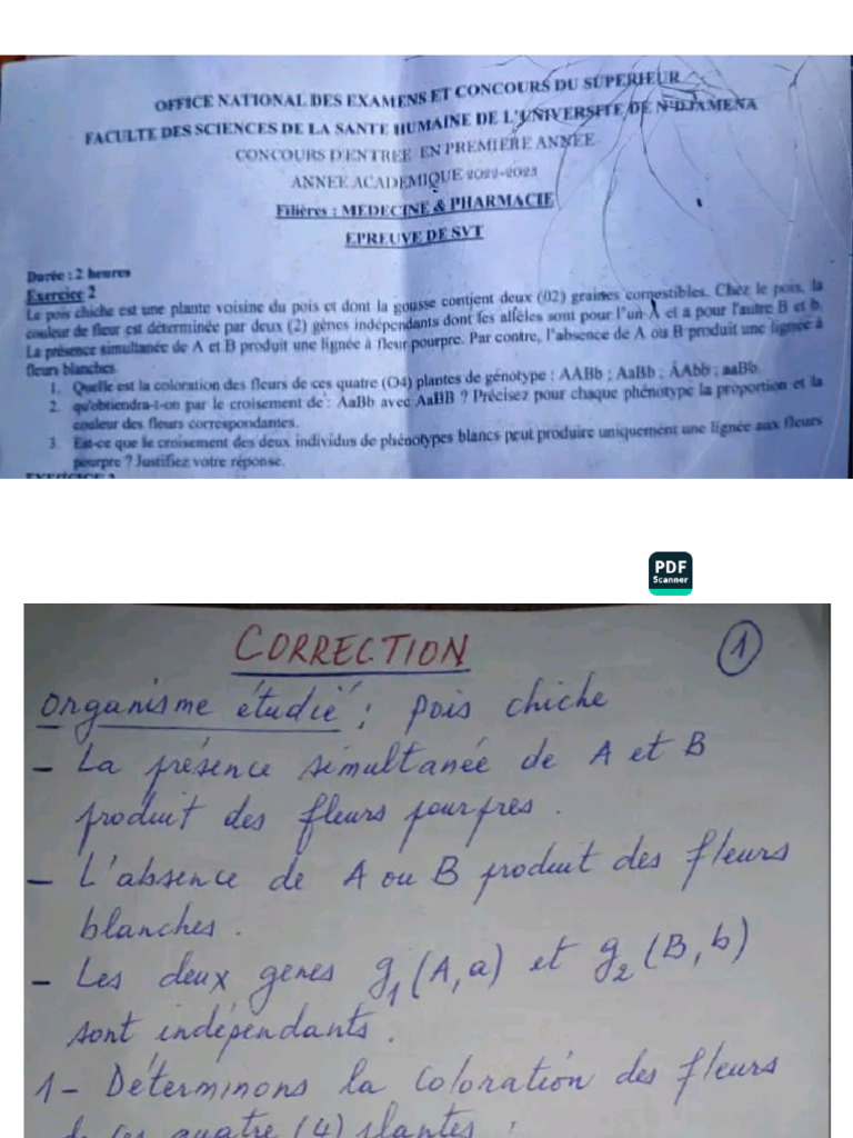 Exo1 Médecine 2022 | PDF