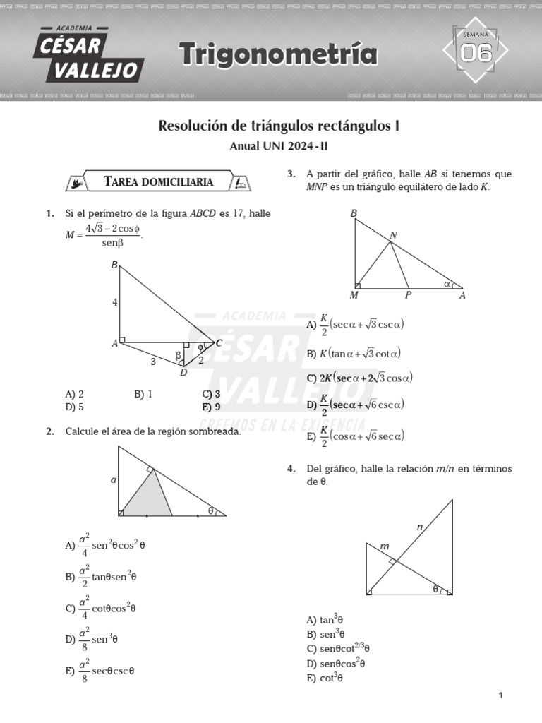 TR ACV Dom Sem06 - SuperAcademy | PDF | Trigonometría | Euclides