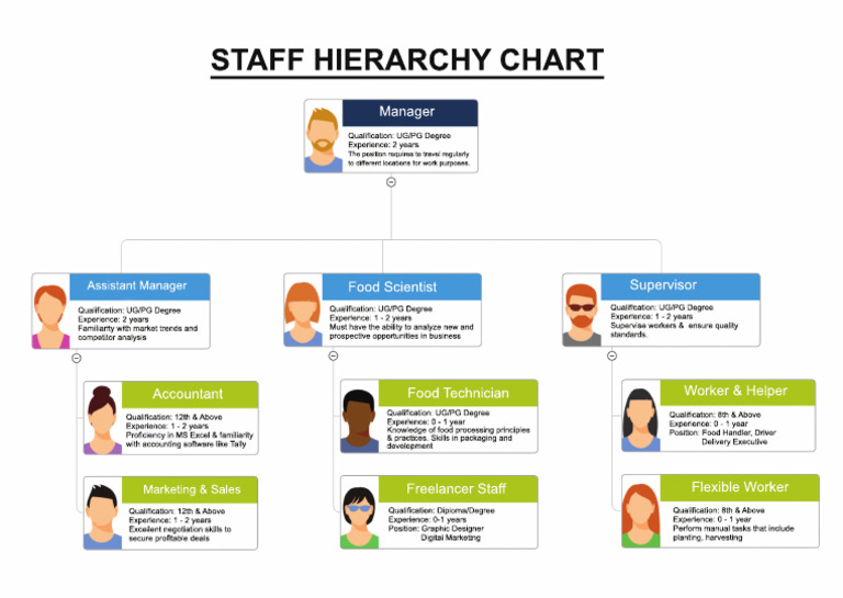 Job Positions and Qualifications Overview | PDF