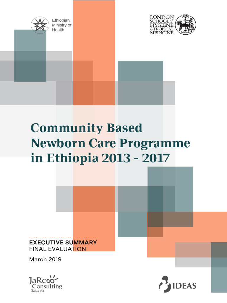 CBNCFinalReportExecSummary FINAL | PDF | Health Care | Social Programs