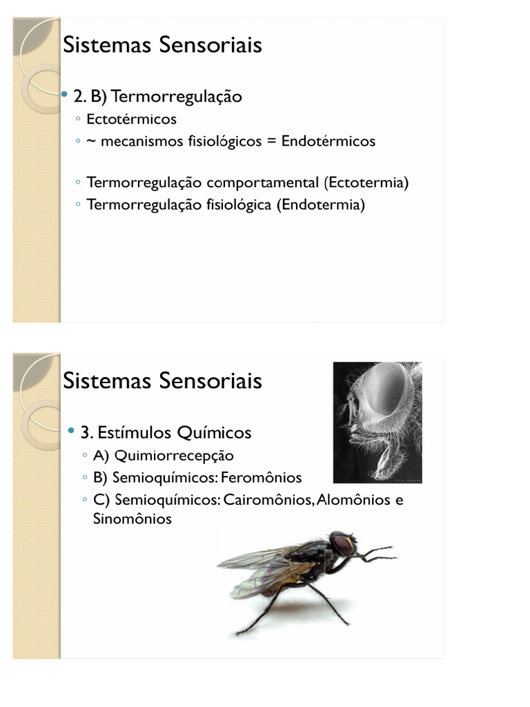 Aula Anatomia Interna e Fisiologia Dos Insetos - Parte 2 | PDF