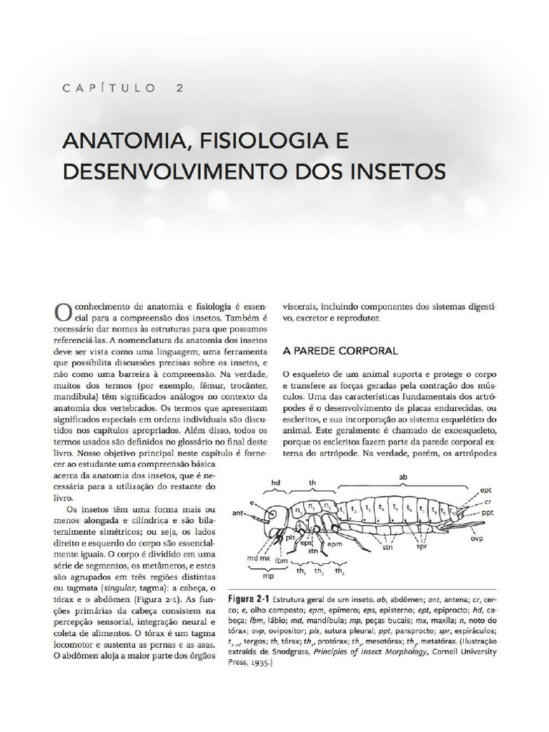 Cap. 2 - Anatomia Fisiologia e Desenvolvimento Dos Insetos | PDF