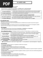 Anatomie de la cavité buccale et salivaires | PDF | Langue | Bouche