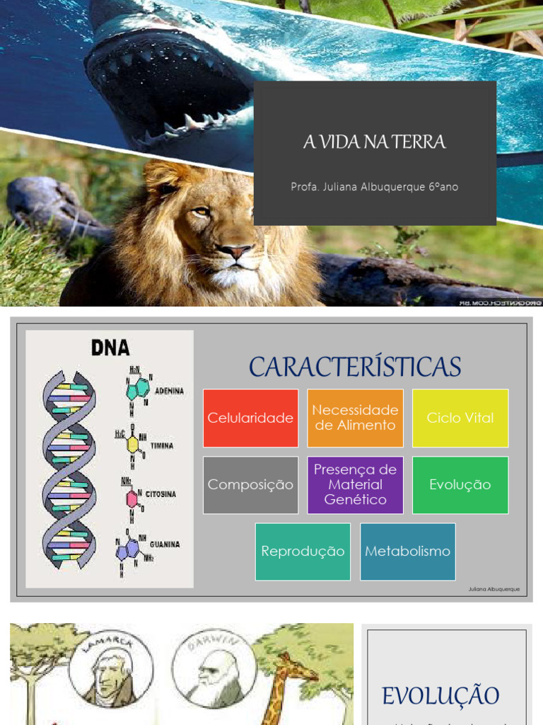 A Vida Na Terra - 6ºano | PDF | Organismos | Vida