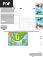 Queensland Fish Size and Bag Limits | PDF