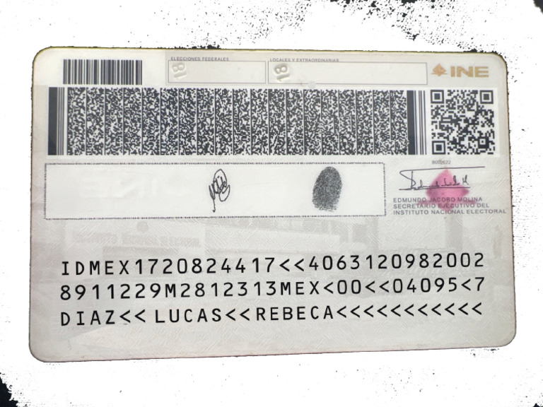 INE Trasera Formato Anterior | PDF