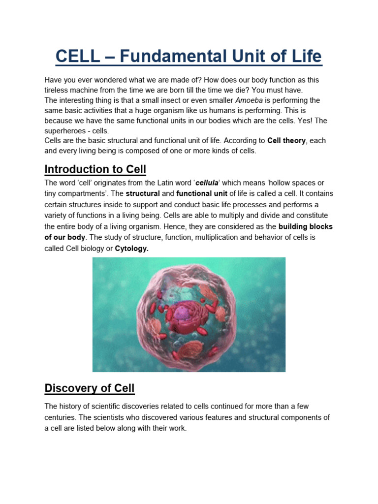 Cell | PDF | Cell (Biology) | Endoplasmic Reticulum