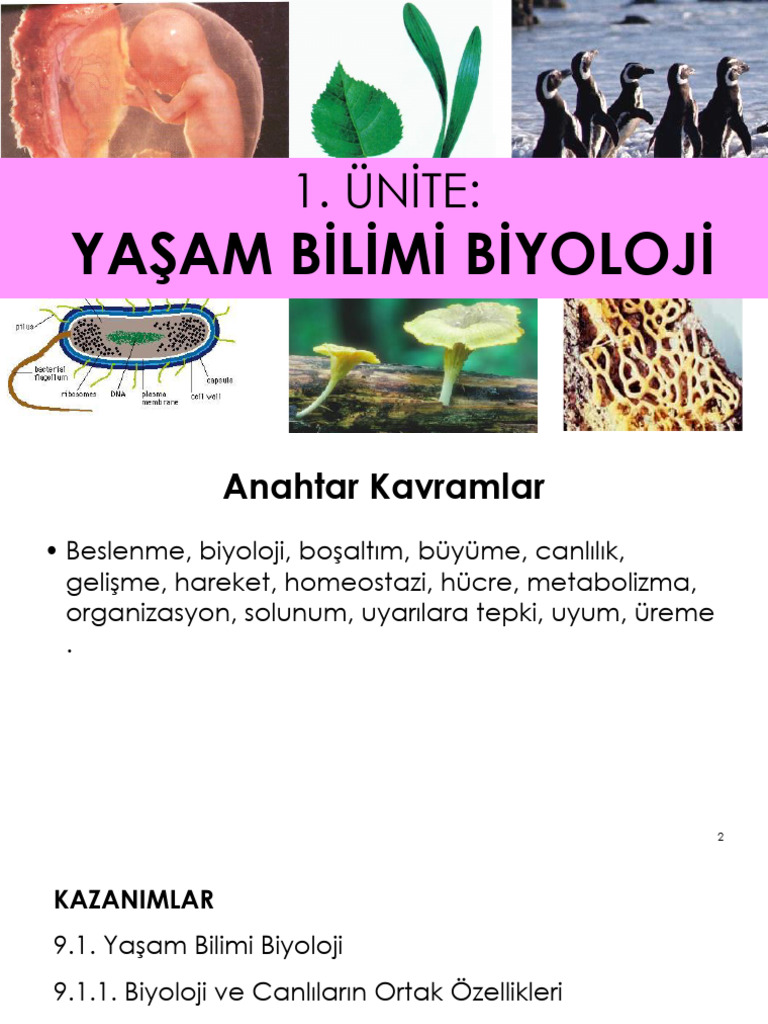 Canlıların Ortak Özellikleri | PDF