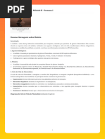 Ciclo e Patologia do Plasmodium spp. | PDF | Plasmodium | Malária