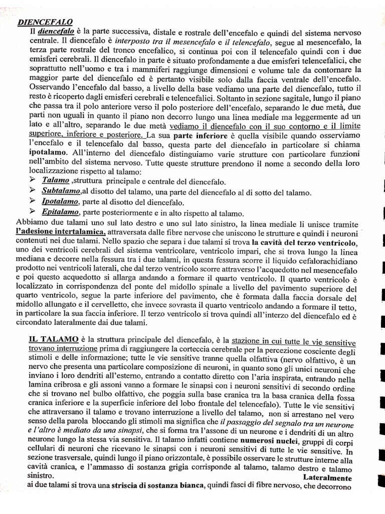 Sistema Nervoso III 250711 221107 | PDF