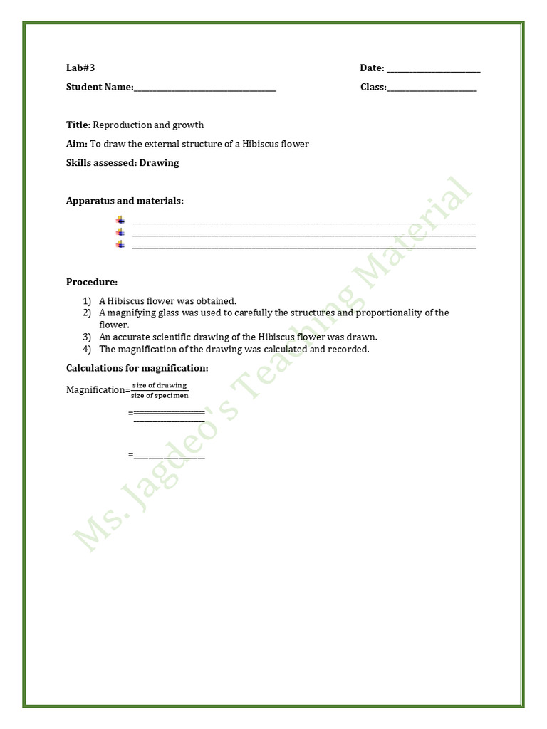 Hibiscus Flower Drawing Lab Guide | PDF