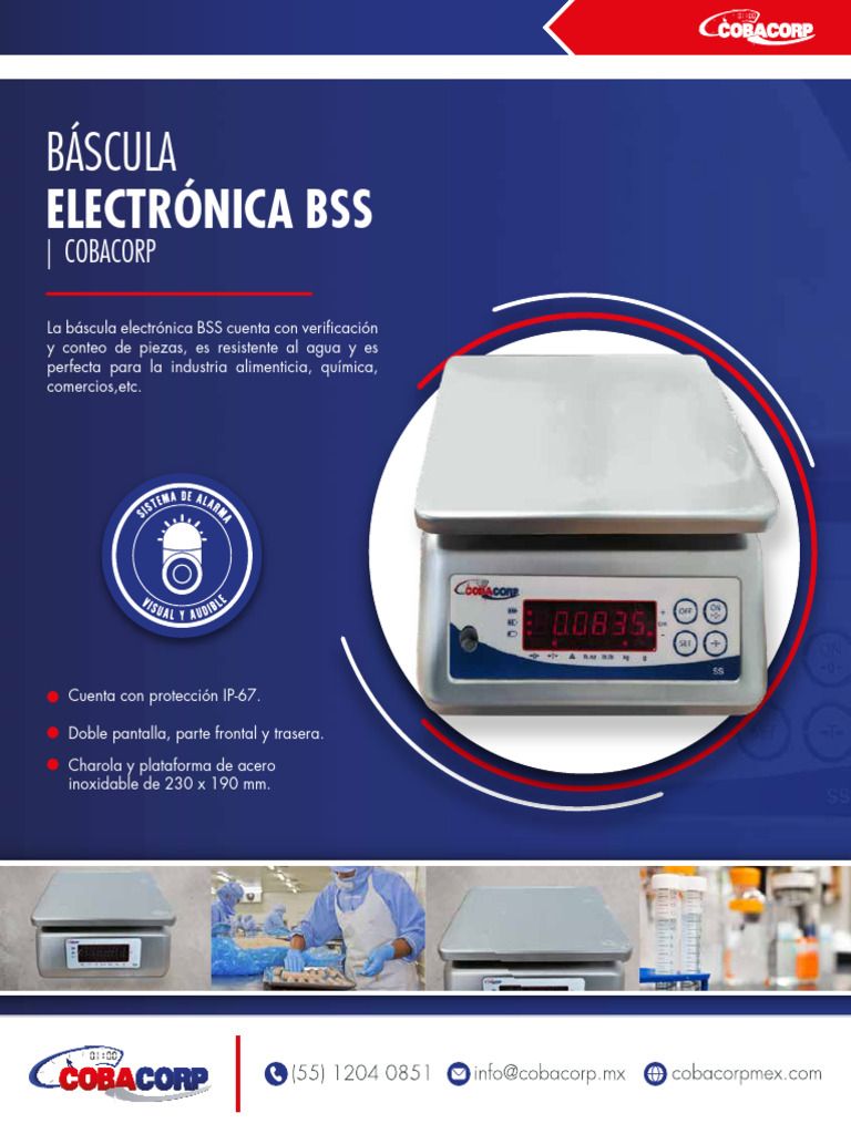 Bascula Electronica BSS | PDF