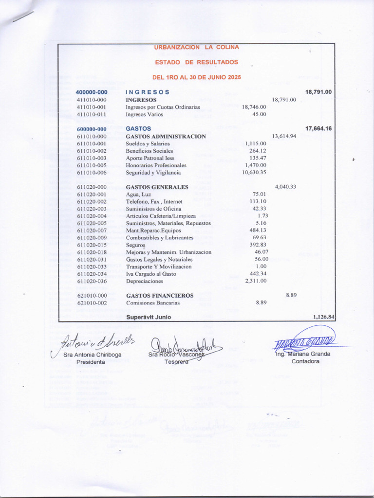 Balance Junio 2025 | PDF