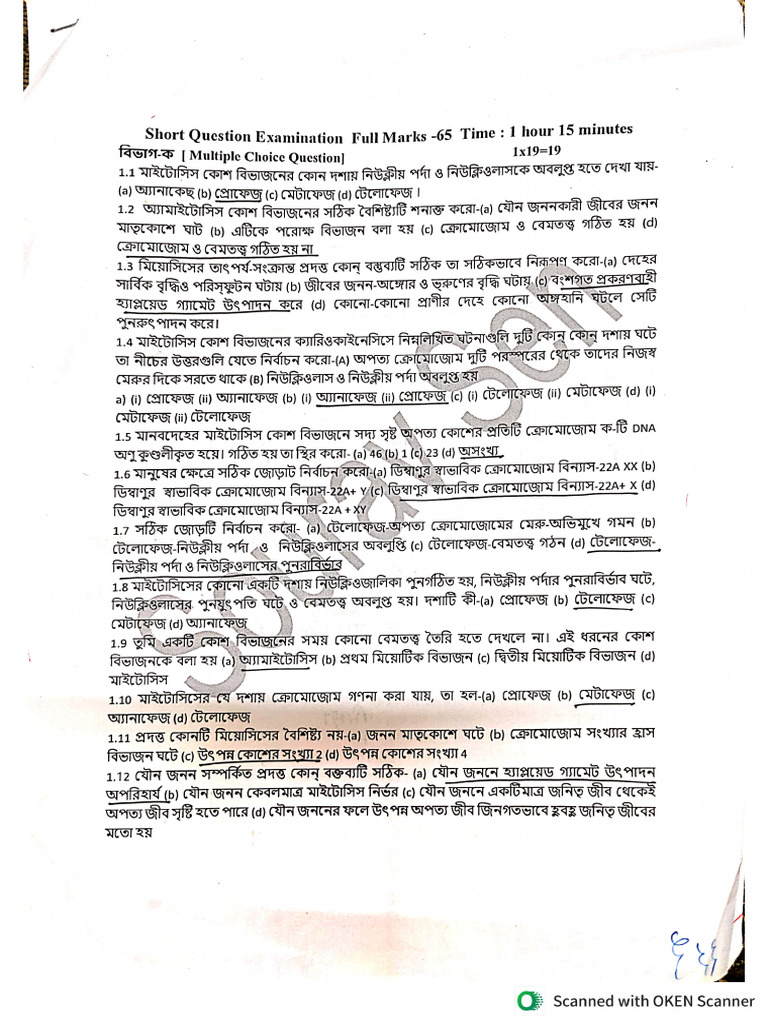 Exam Answer | PDF