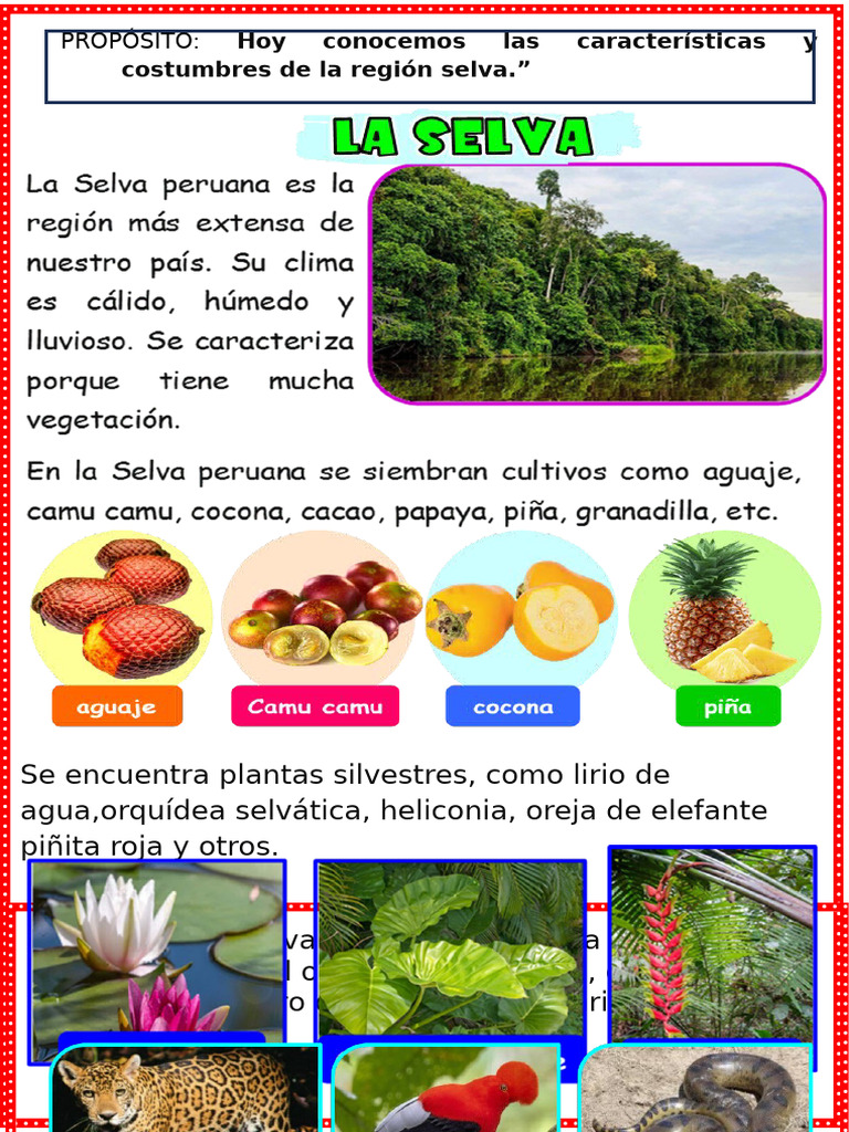 Fficha de Personal - Selva | PDF