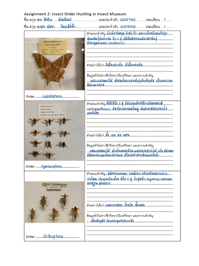 Assignment 2: Insect Order Hunting in Insect Museum: Lepidoptera | PDF