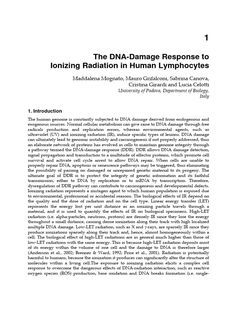 The DNA Damage Response To Ionizing Radi | PDF | Ubiquitin | Dna Repair