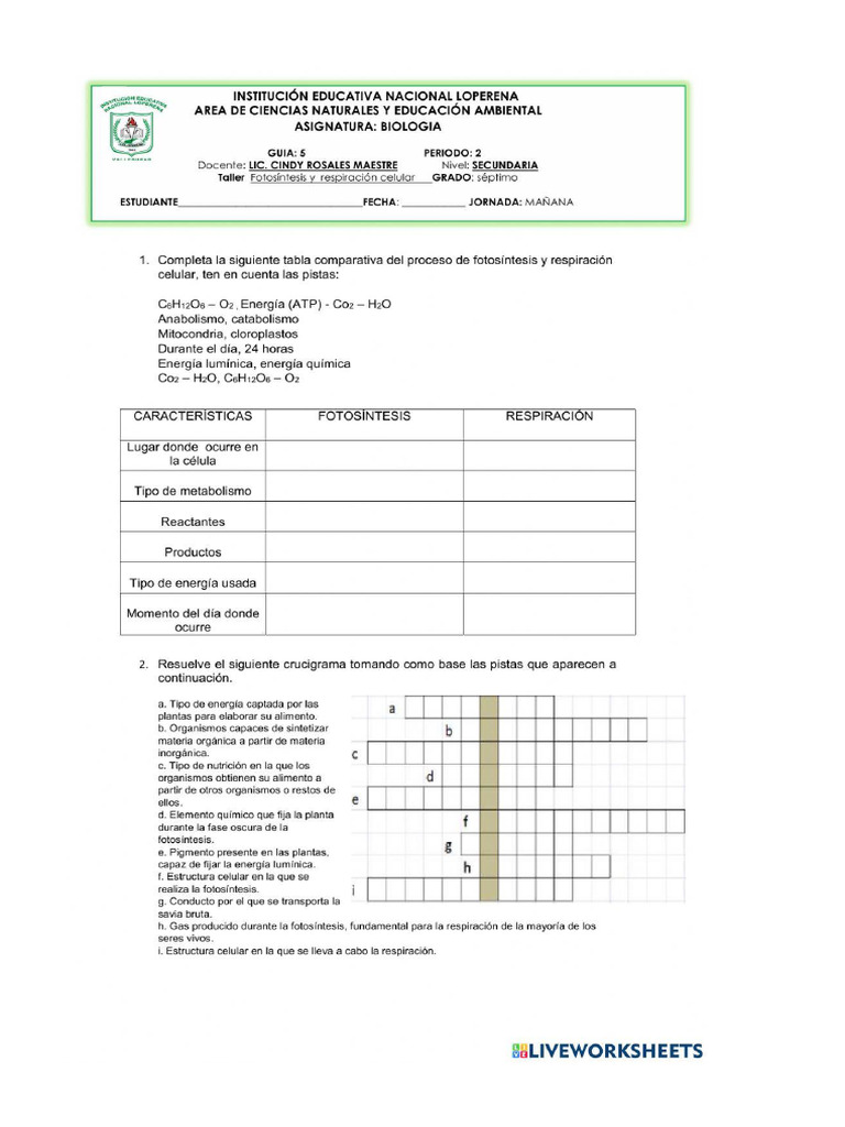 Fotosíntesis y Respiración Celular | PDF