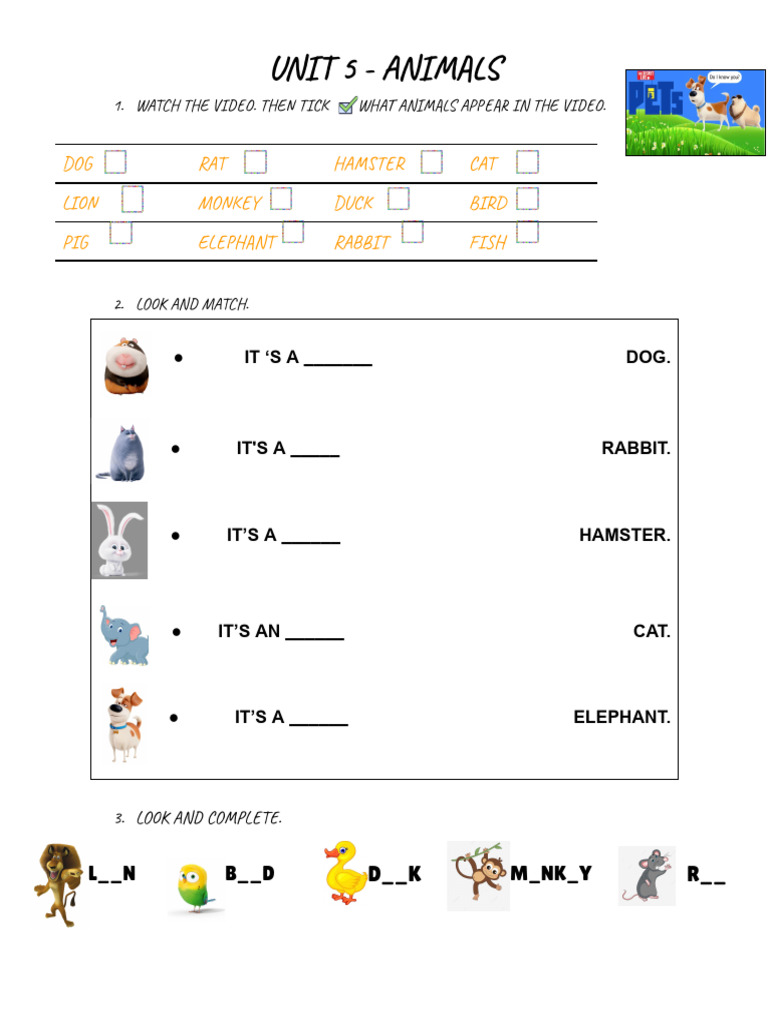 Unit 5 - Animals | PDF
