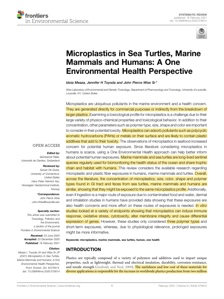Microplastics in Sea Turtles, Marine Mammals and Humans: A One ...