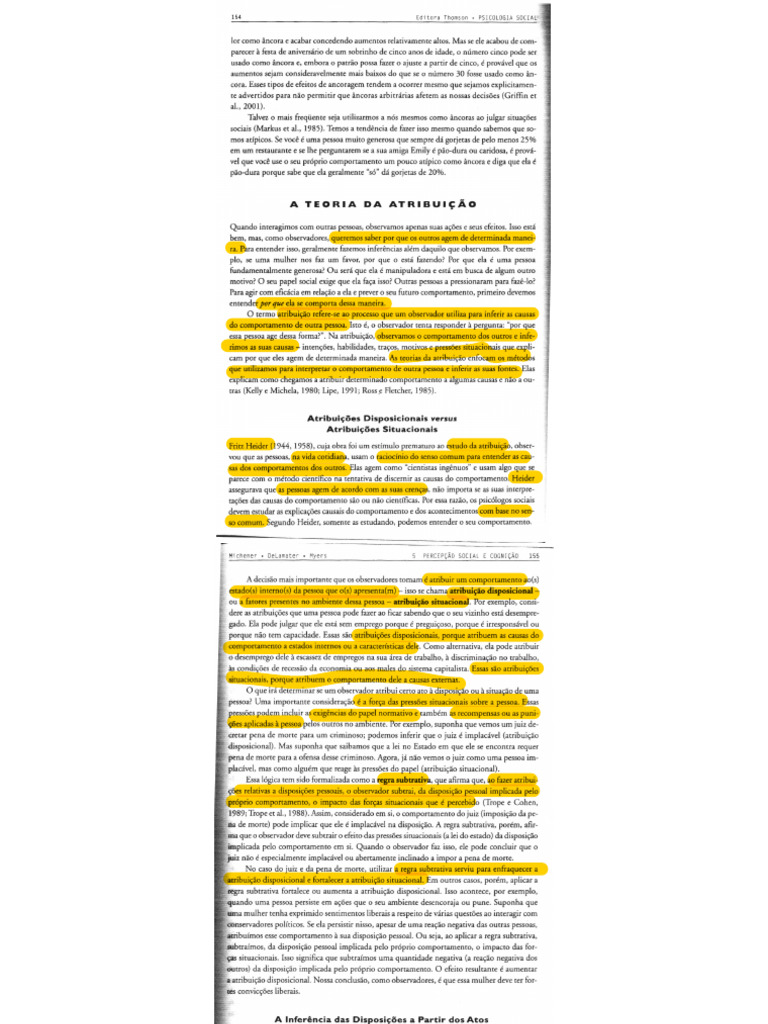 Aula 5 - MICHINER - Teoria Da Atribuição MICHENER | PDF